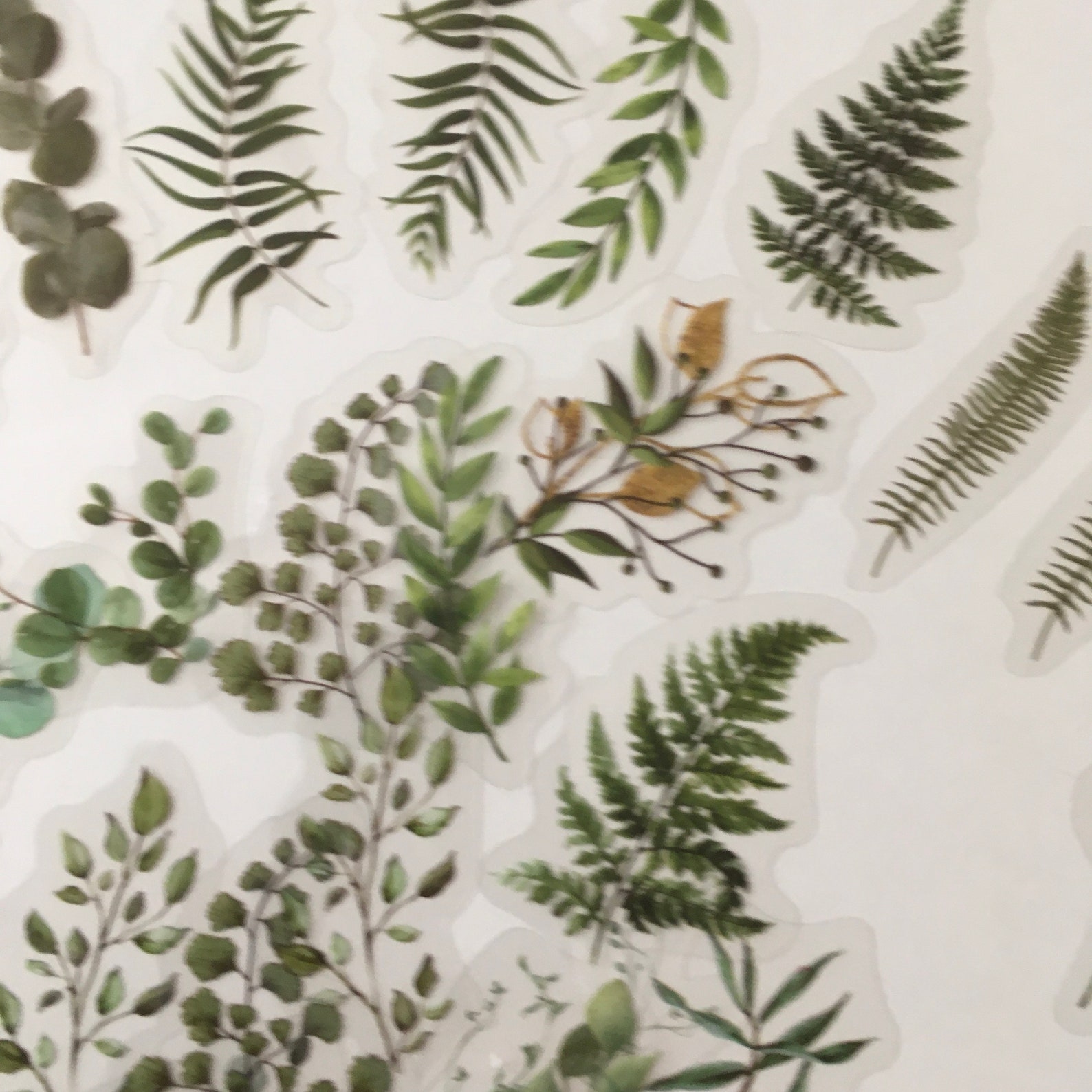 Sticker Pack / 40 Pc. Vintage Style Leaves & Stems Stickers - Etsy