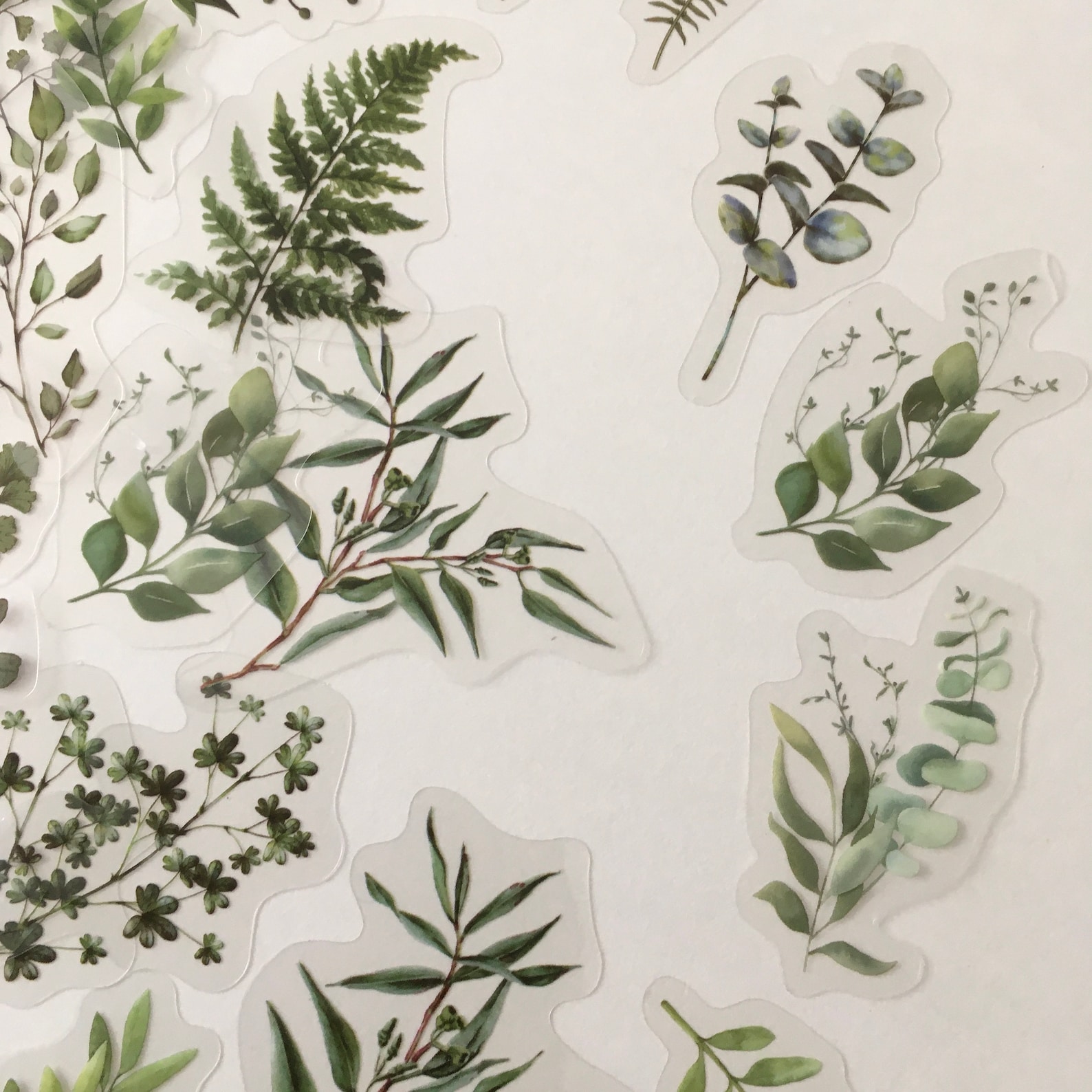 Sticker Pack / 40 Pc. Vintage Style Leaves & Stems Stickers - Etsy