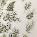 Sticker Pack / 40 Pc. Vintage Style Leaves & Stems Stickers Inspiration ...