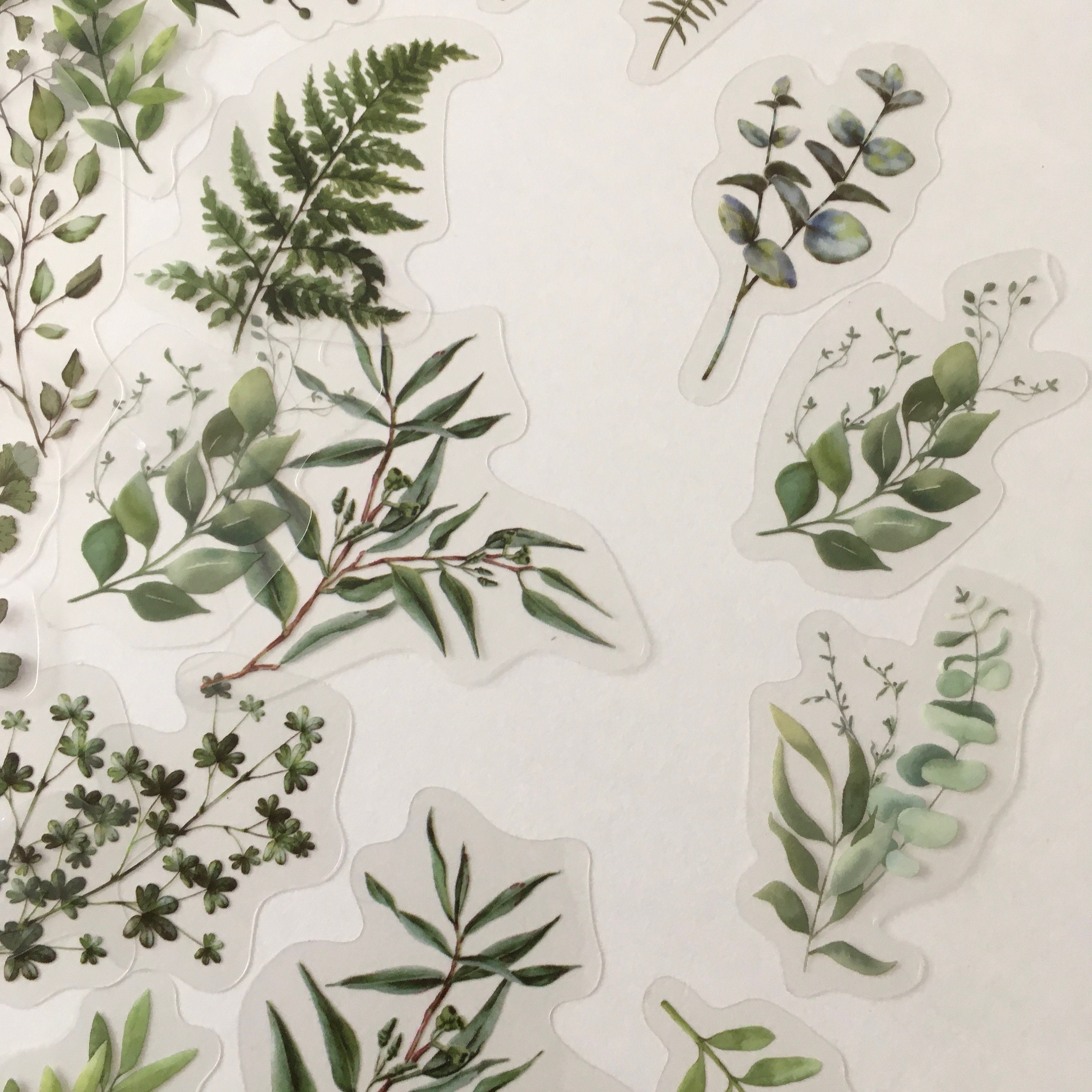 Sticker Pack / 40 Pc. Vintage Style Leaves & Stems Stickers - Etsy