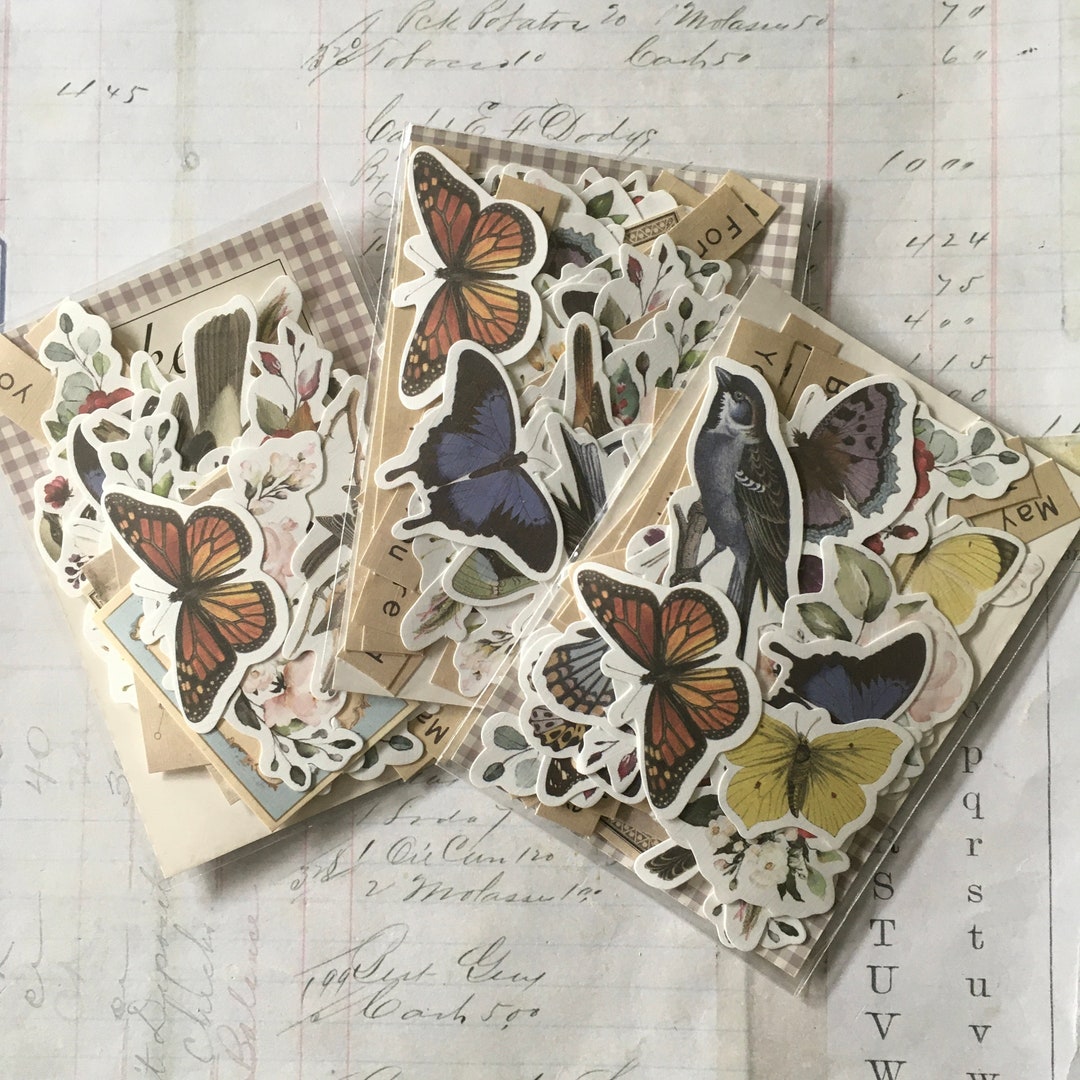 Mini Scrap Pack / 50 Pcs. Mini Birds, Butterflies & Flowers Scrap Pack ...