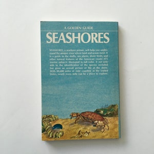 SEASHORES Book / Vintage Golden Guide SEASHORES Guide to Shells, Sea ...