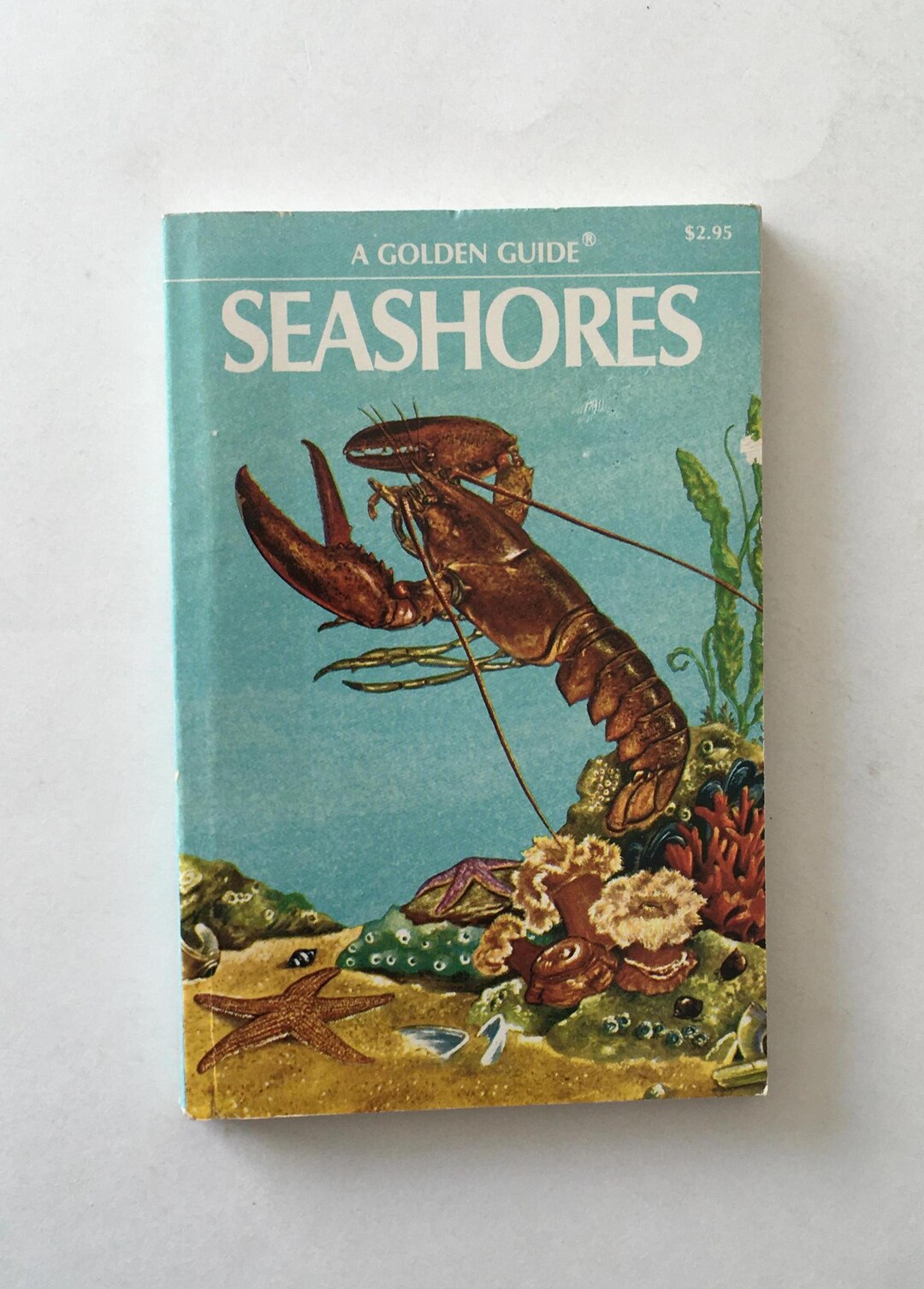 SEASHORES Book / Vintage Golden Guide SEASHORES Guide to Shells, Sea ...