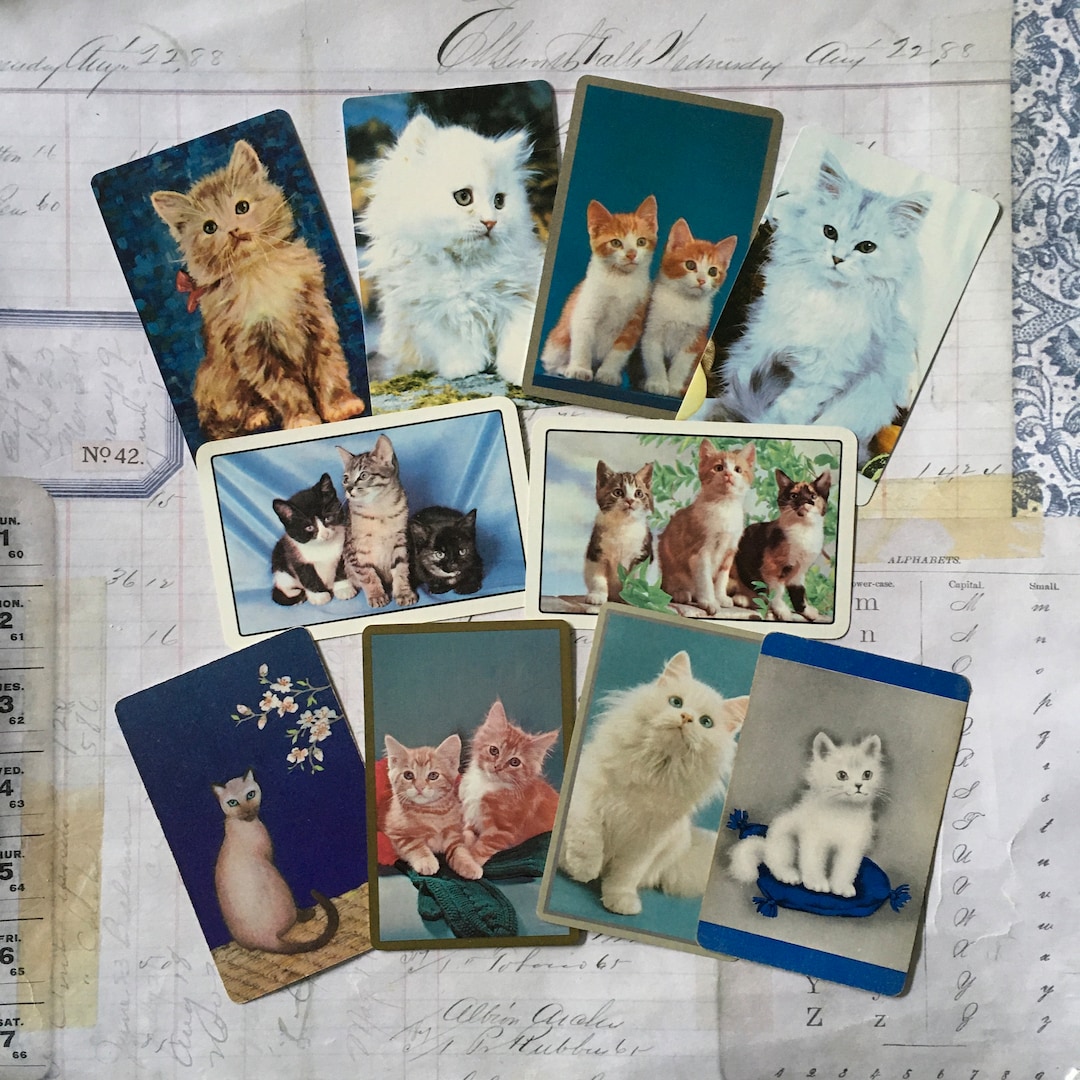 Cat Cards / 10 Vintage Kitten & Cat Playing Cards Different Cats Great ...