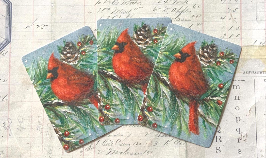 Cardinal Cards / 3 Winter Playing Cards Red Cardinal Birds -- Great for ...