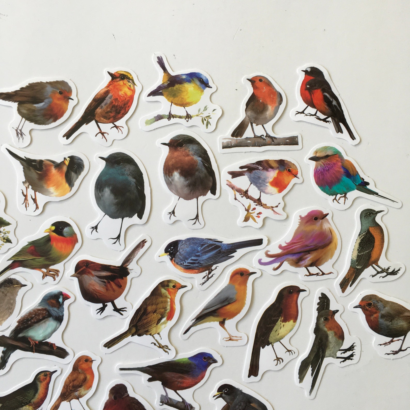 BIRD Stickers / 40 Bird stickers Scrap Pieces great for - Etsy 日本