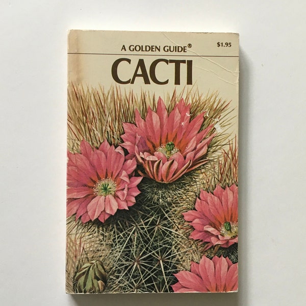 Cacti - Etsy