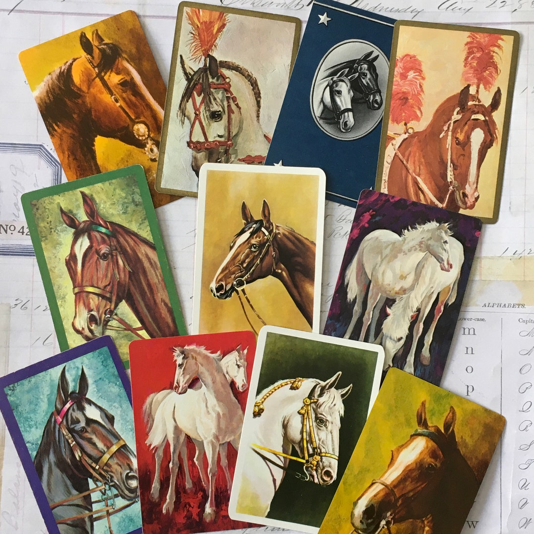 Horse Cards / 11 Vintage Horse Playing Cards Great for Smash - Etsy UK