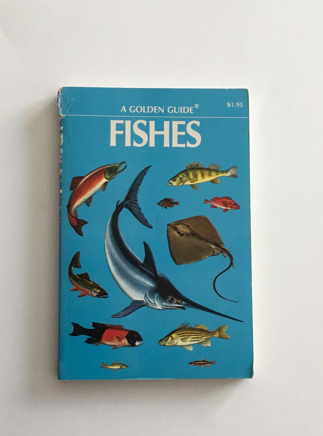 FISHES Book / Vintage FISHES Golden Nature Guide 278 Species in Full ...