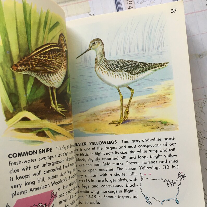 BIRDS Book / Vintage BIRDS A Guide to the Most Familiar - Etsy