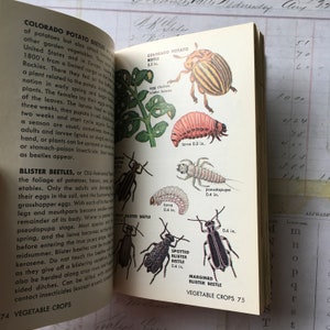 INSECTS Book / Vintage Golden NATURE Guide Insect Pests 24016 | Etsy