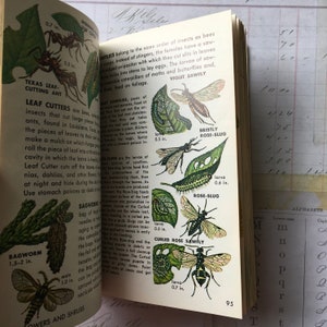 INSECTS Book / Vintage Golden NATURE Guide Insect Pests 24016 | Etsy