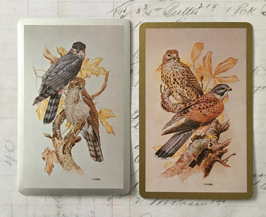 Bird Swap CARDS / 2 Vintage Neutral Bird Playing Cards Great for Mixed ...