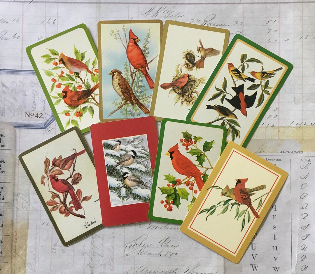 Bird Cards / 8 Vintage BIRD Playing Cards Assorted Cardinal Birds Great ...