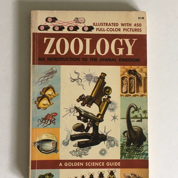 Zoology Book - Etsy