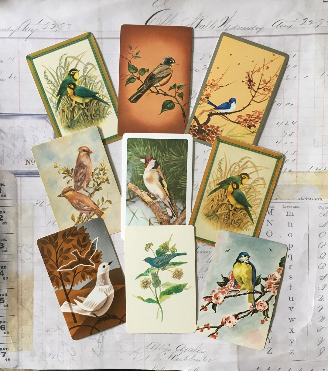 Bird Cards / 8 Vintage BIRD Playing Cards Great for Journals, Smash ...