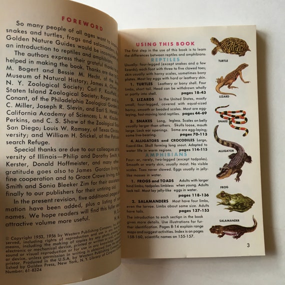 Reptiles And Amphibians Book