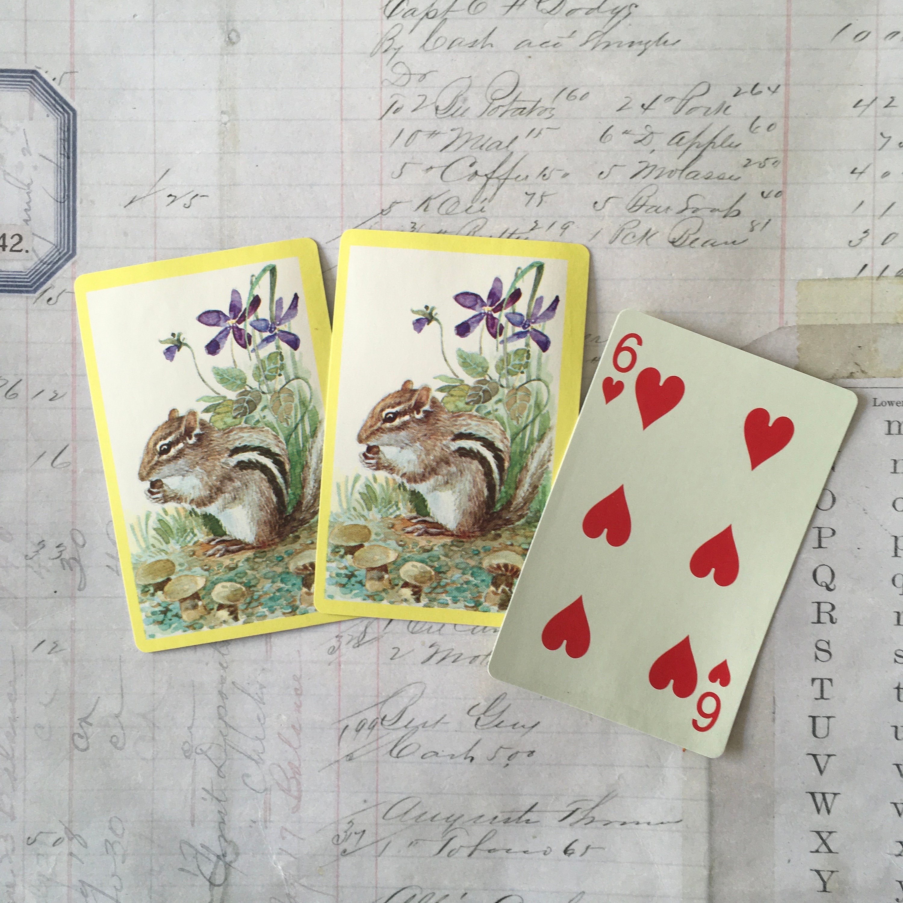 Chipmunk Cards / 3 Vintage Cute Woodland Animal Squirrel Chipmunk ...
