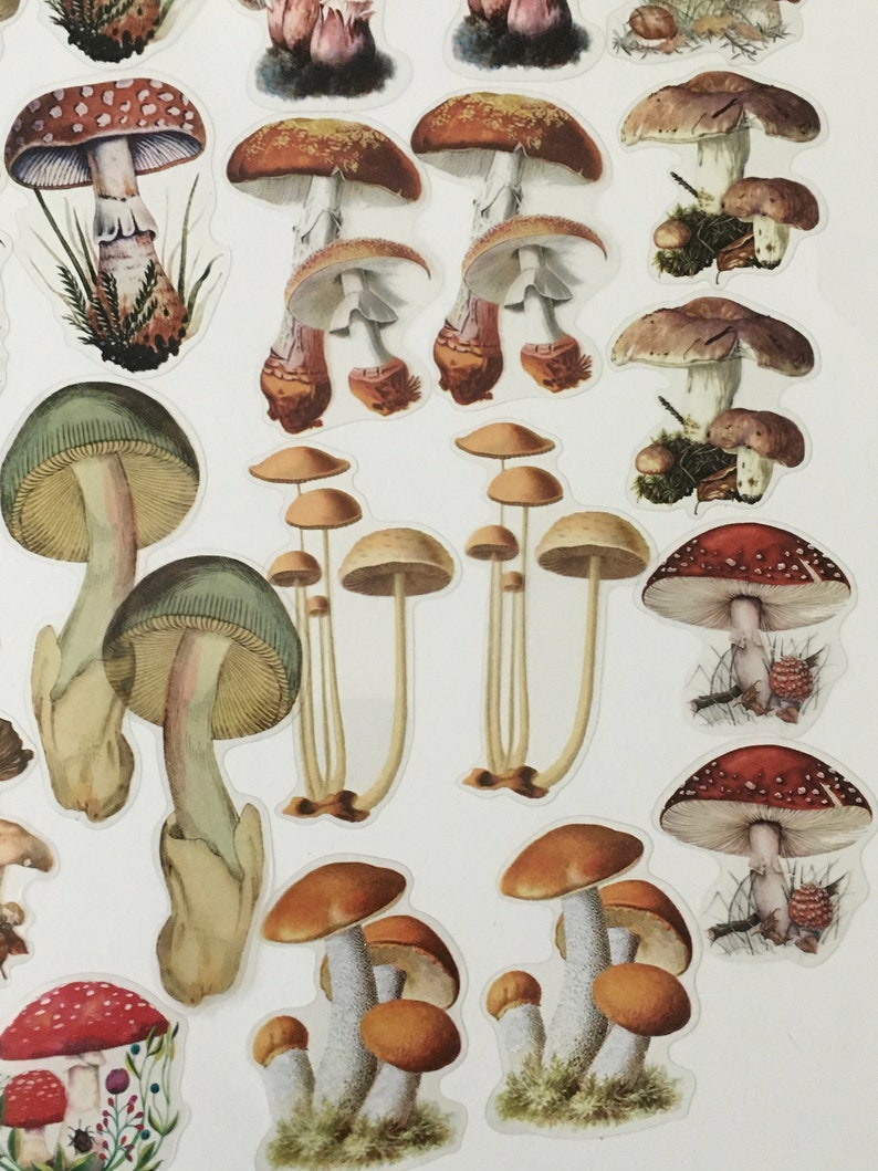 MUSHROOM Stickers / 40 Mushroom Die Cut Stickers Vinyl - Etsy