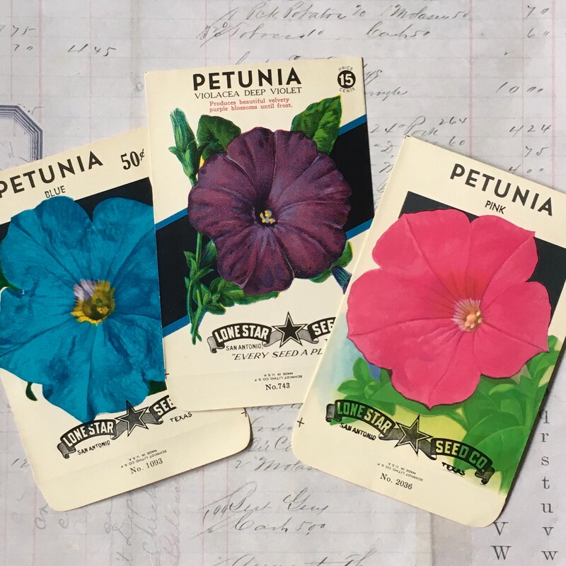 Seed Labels - Etsy