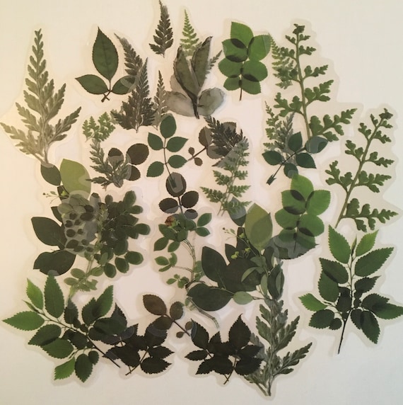 Sticker Pack / 40 Pc. Vintage Style Botanical Green LEAVES | Etsy