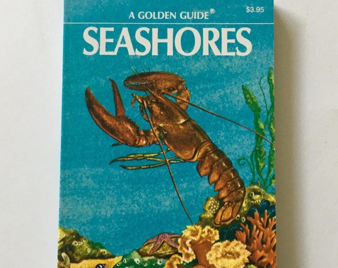 STARS Guide / Vintage Golden Nature Guide STARS A Guide to the ...