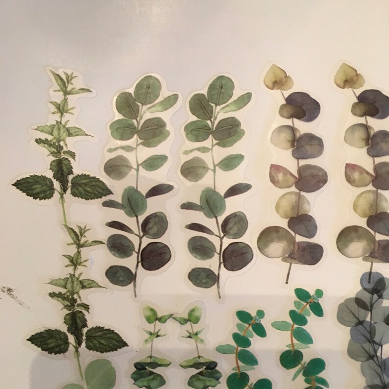 Sticker Pack / 40 Pc. Vintage Style Leaves & Stems Stickers Inspiration ...