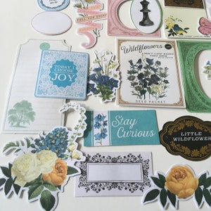 SCRAP PACK / 40 Pc. Floral Scrap Pack Embellishments Die Cuts Kit Great ...