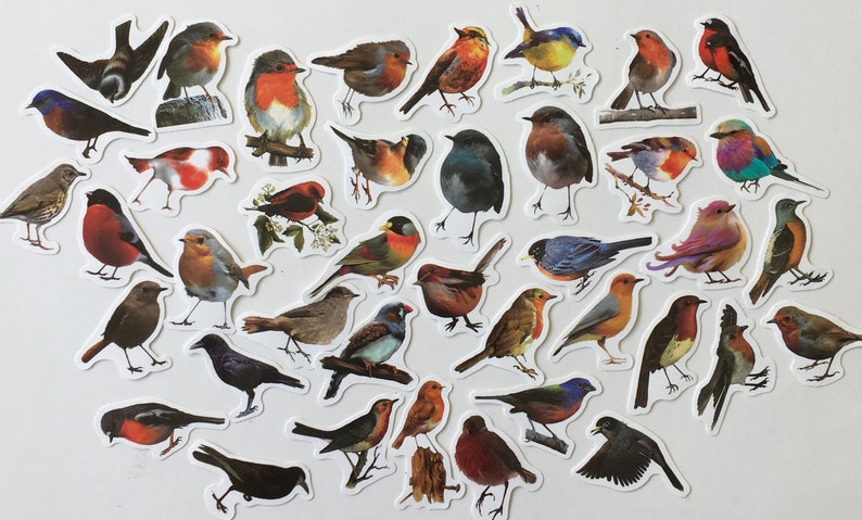 BIRD Stickers / 40 Bird Stickers Scrap Pieces Great for - Etsy