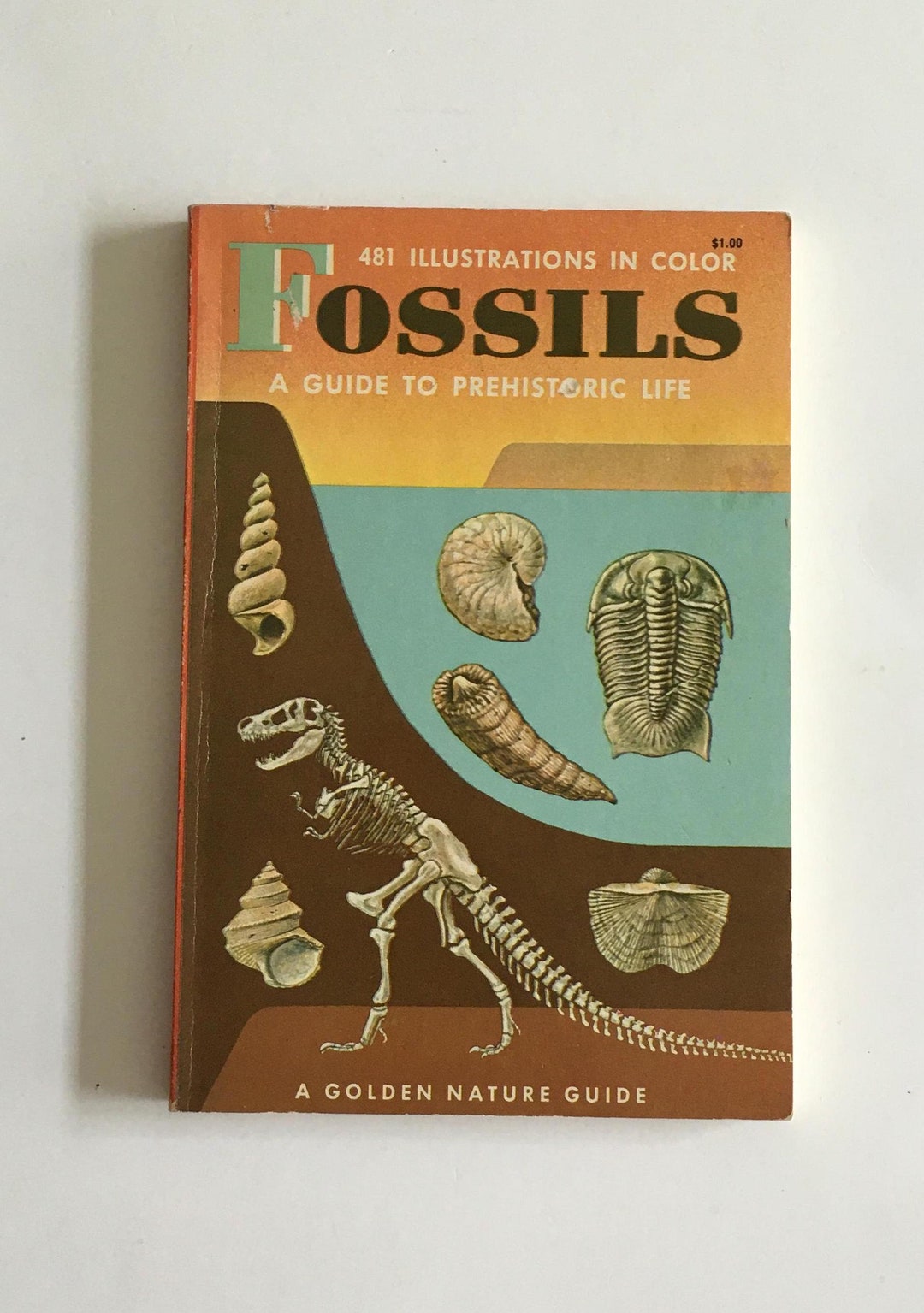 FOSSILS Book / Vintage Golden Guide FOSSILS #24411 Softcover W/full ...