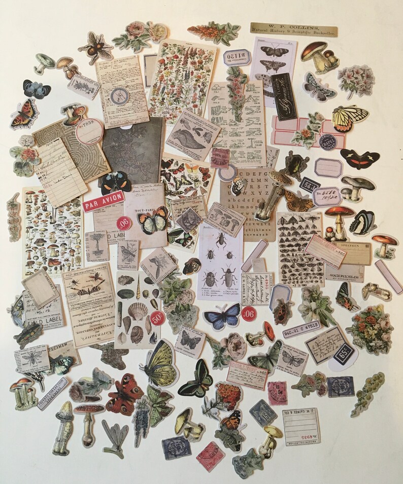 Field Note Snippets / 134 Pc. Scrap Pack by Tim Holtz Field - Etsy