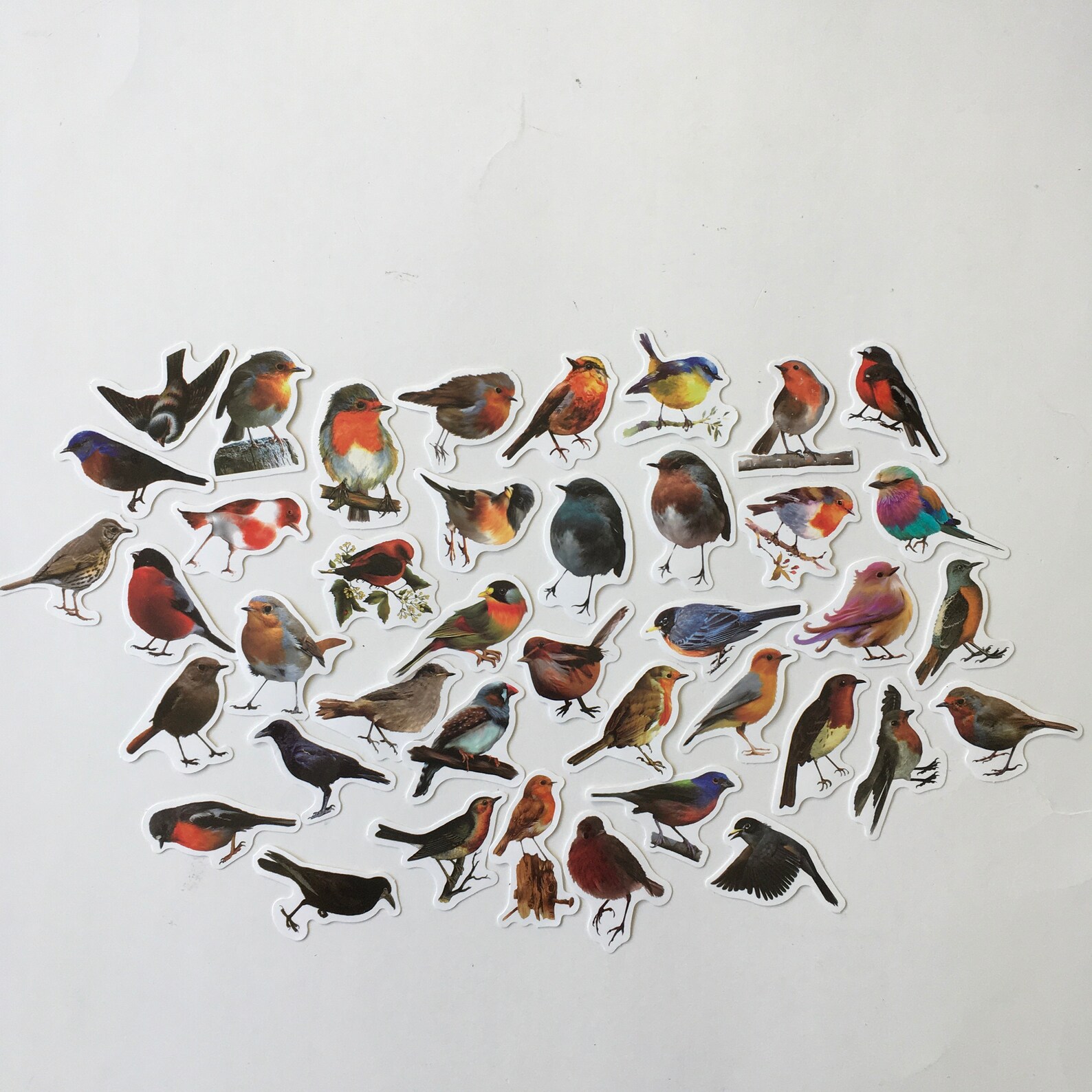 BIRD Stickers / 40 Bird stickers Scrap Pieces great for | Etsy