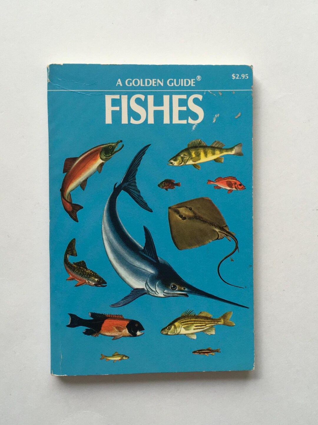 FISHES Book / Vintage FISHES Golden Nature Guide 278 Species in Full ...