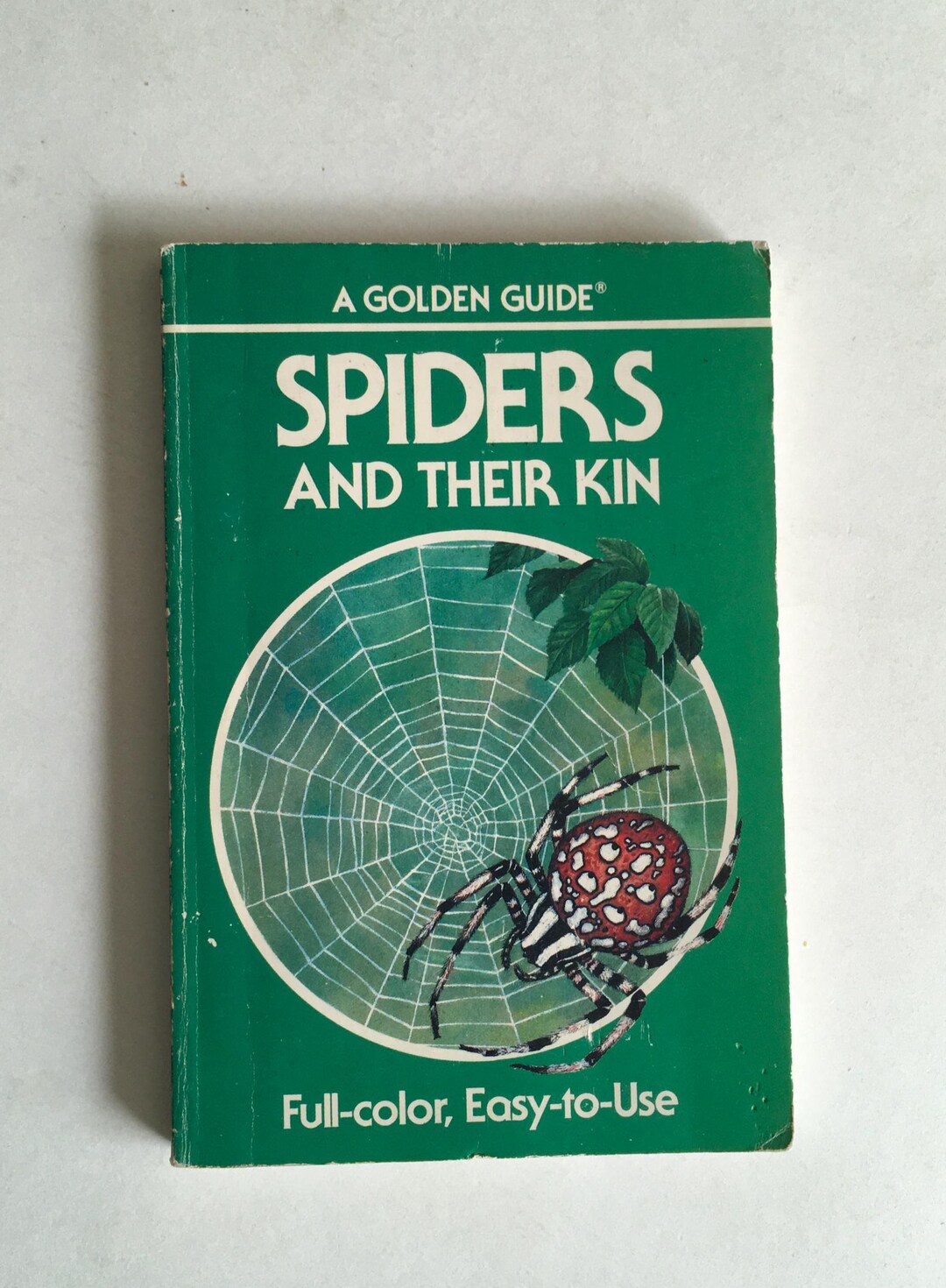 SPIDERS Book / Vintage Golden Guide SPIDERS in Full Color Illustrations ...