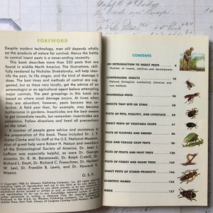 INSECTS Book / Vintage Golden NATURE Guide Insect Pests 24016 | Etsy