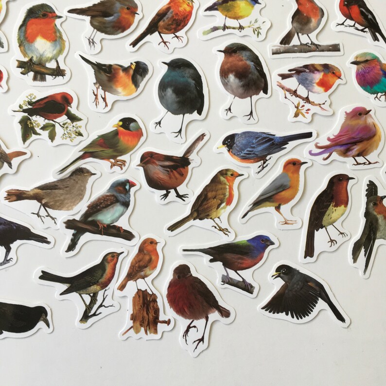 BIRD Stickers / 40 Bird Stickers Scrap Pieces Great for - Etsy