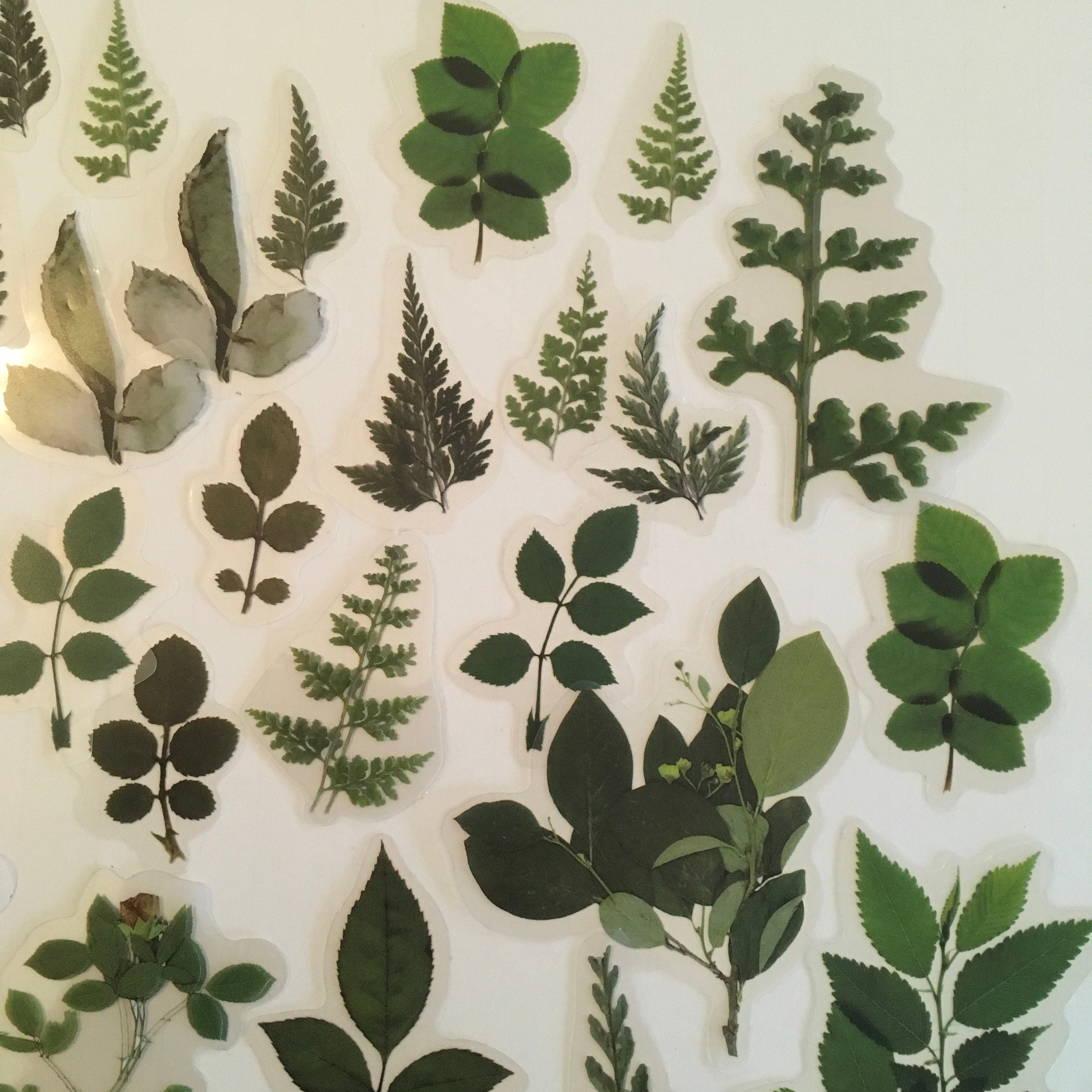 Sticker Pack / 40 Pc. Vintage Style Botanical Green LEAVES | Etsy