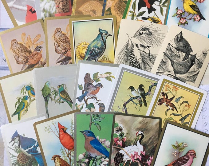Bird Cards / 21 Vintage BIRD Playing Cards Assorted Mix — Great for ...