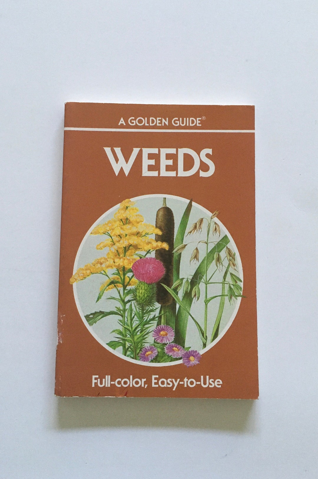 WEEDS Book / Vintage Golden Guide WEEDS W/ Illustrations in Full Color ...