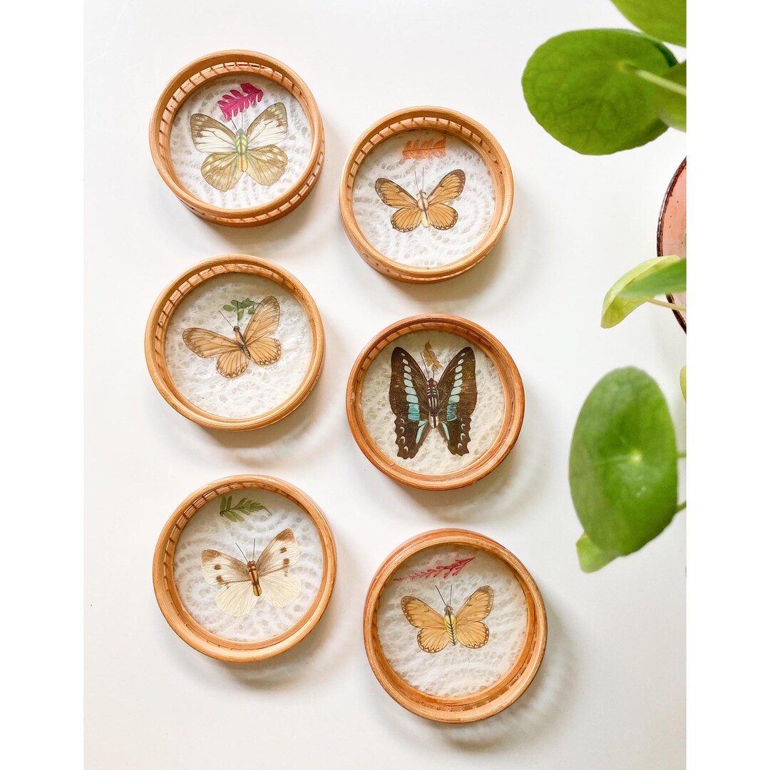 Vintage Pressed Butterfly Wall Hanging, Rattan Framed Butterfly ...