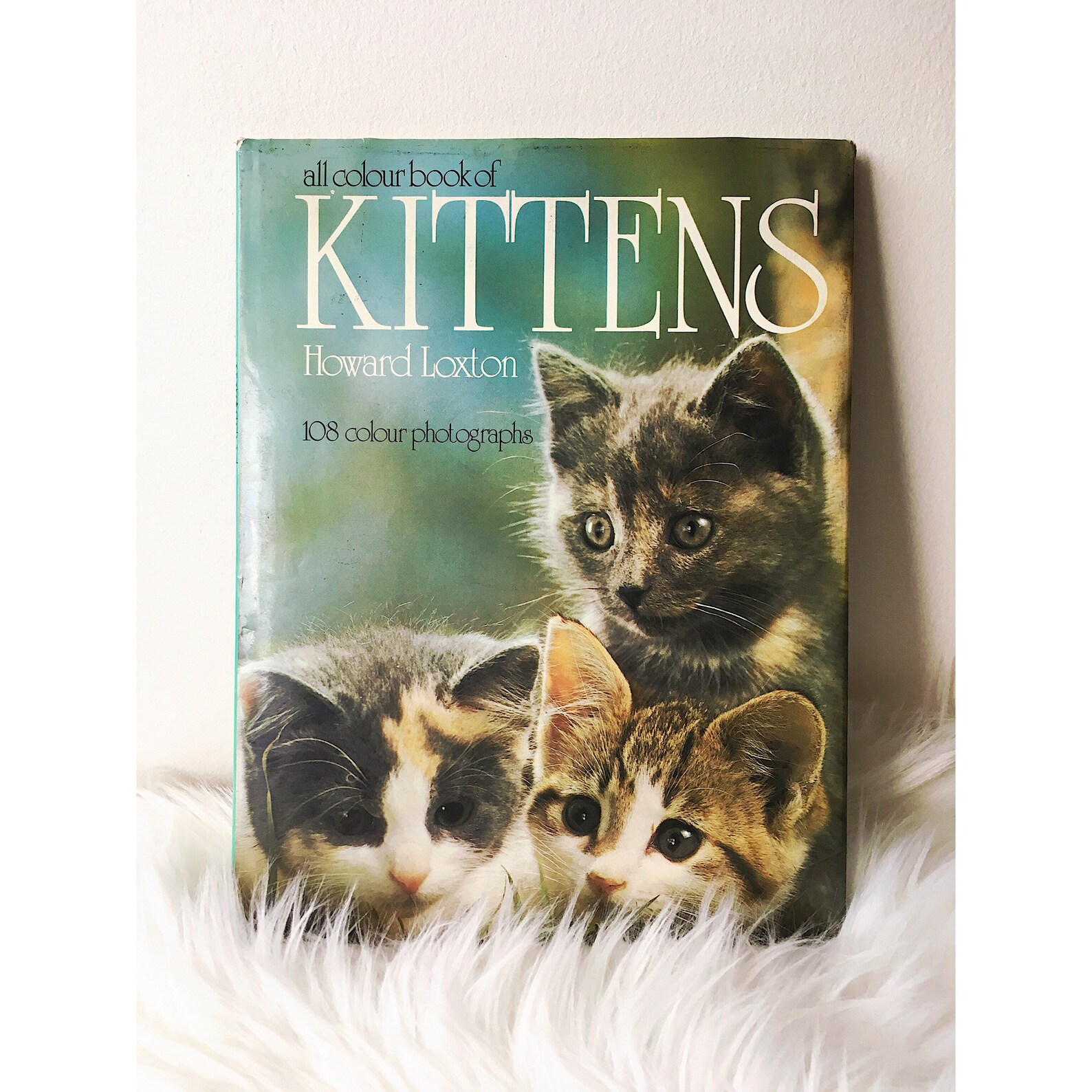 Vintage Kitten Book Vintage Cat Pictures Cat Book Cat | Etsy