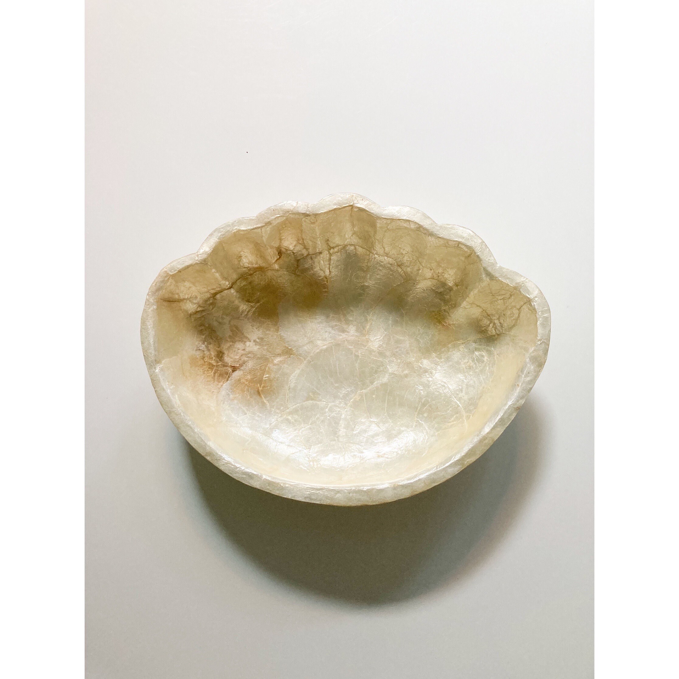 Vintage Capiz Shell Bowl, Clam Shell Shaped, Mother of Pearl Bowl ...