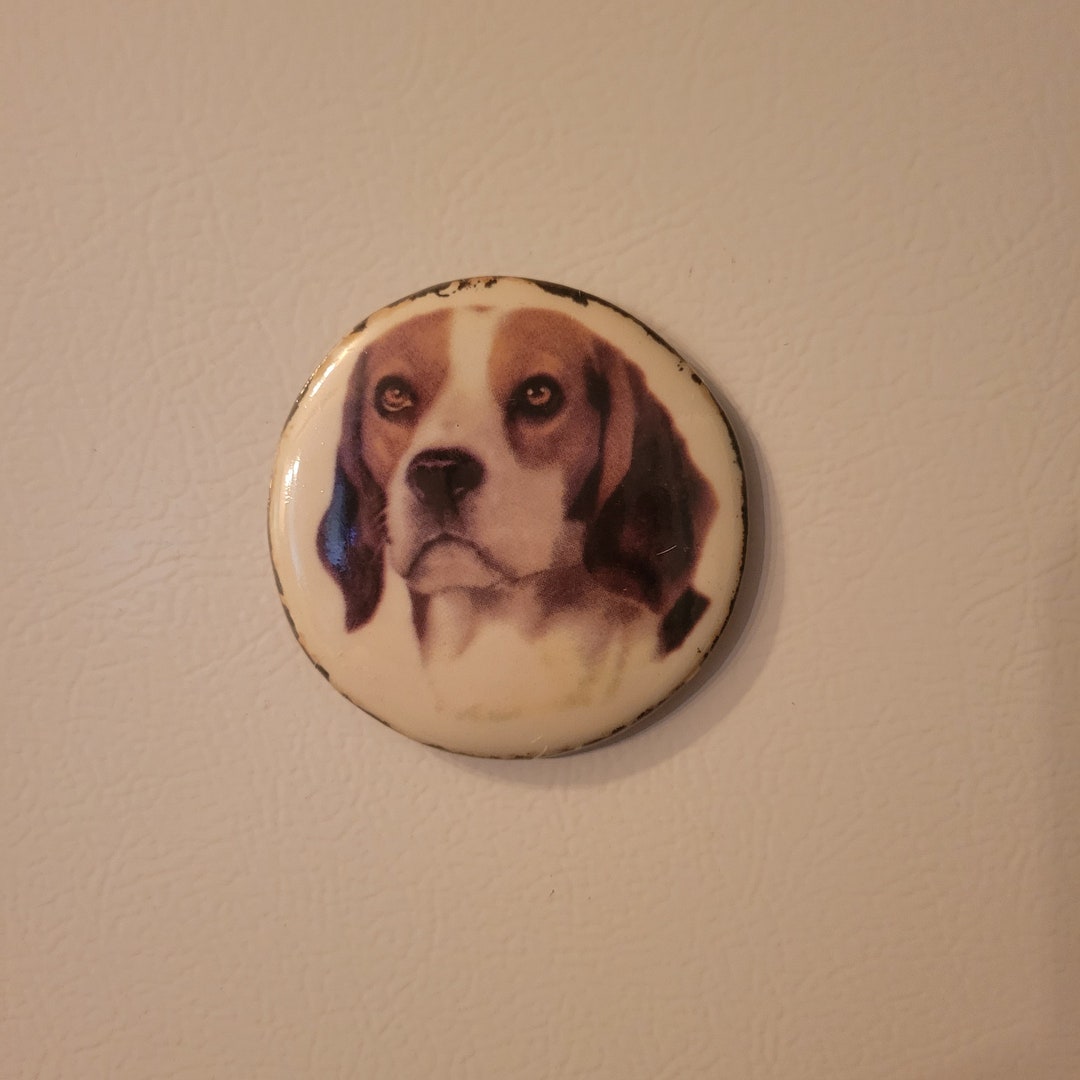 Beagle Motif Ceramic Magnet With Hand Sponged Black and Brown Trim - Etsy