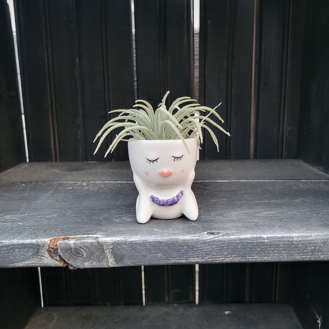 Purple Mermaid Small Succulent Planter With Artificial Air Fern - Etsy