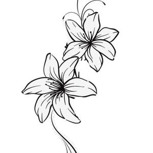 Lily Flower Tattoo Design, Floral Vine Line Art, Elegant Botanical ...