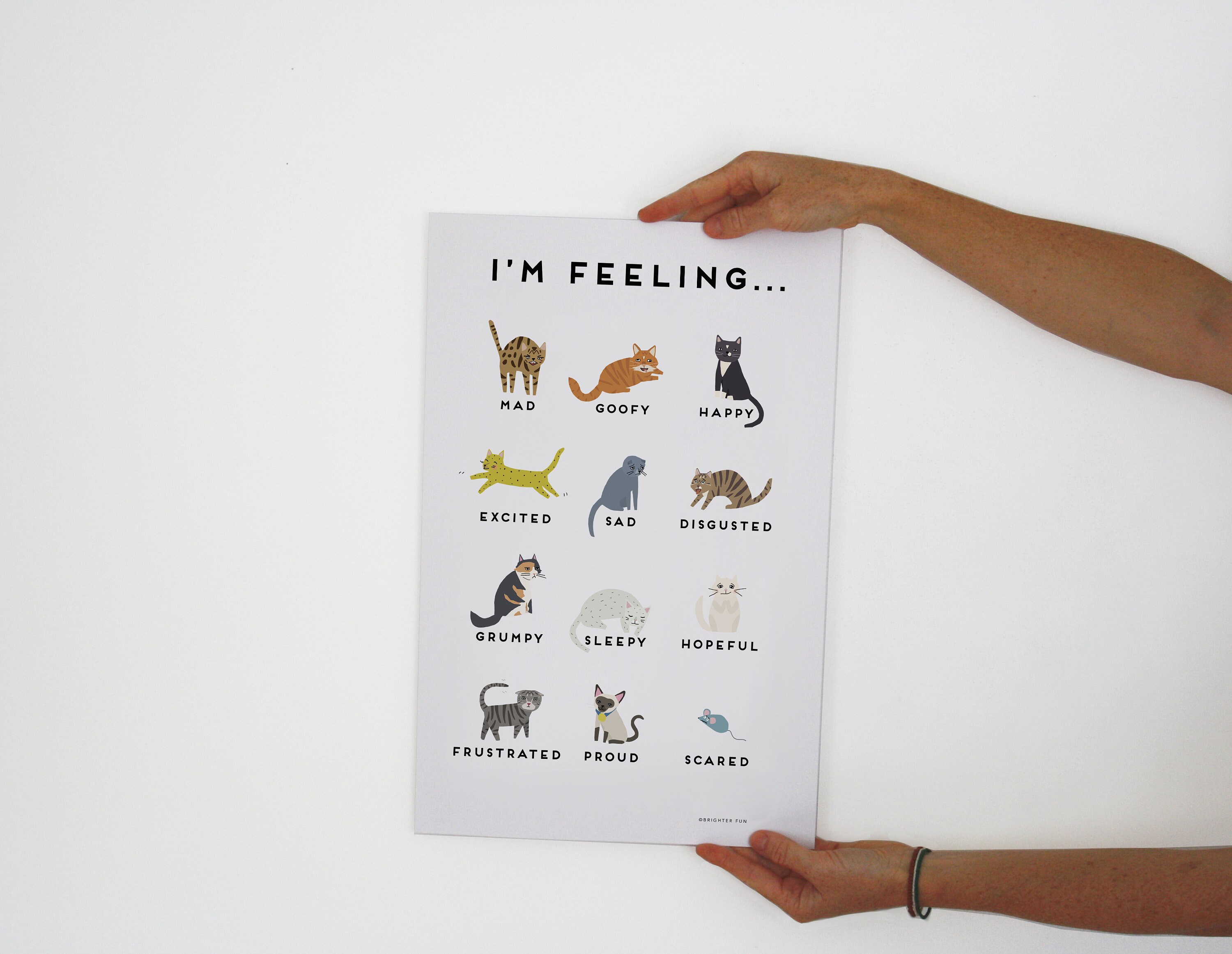 Cat Feelings Poster - Etsy