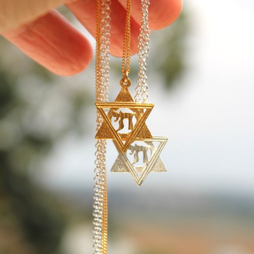 14K Gold Jewish Star of David Judaica Necklace - Etsy