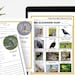 Bird Field Guide and Homeschool Workbook - Etsy