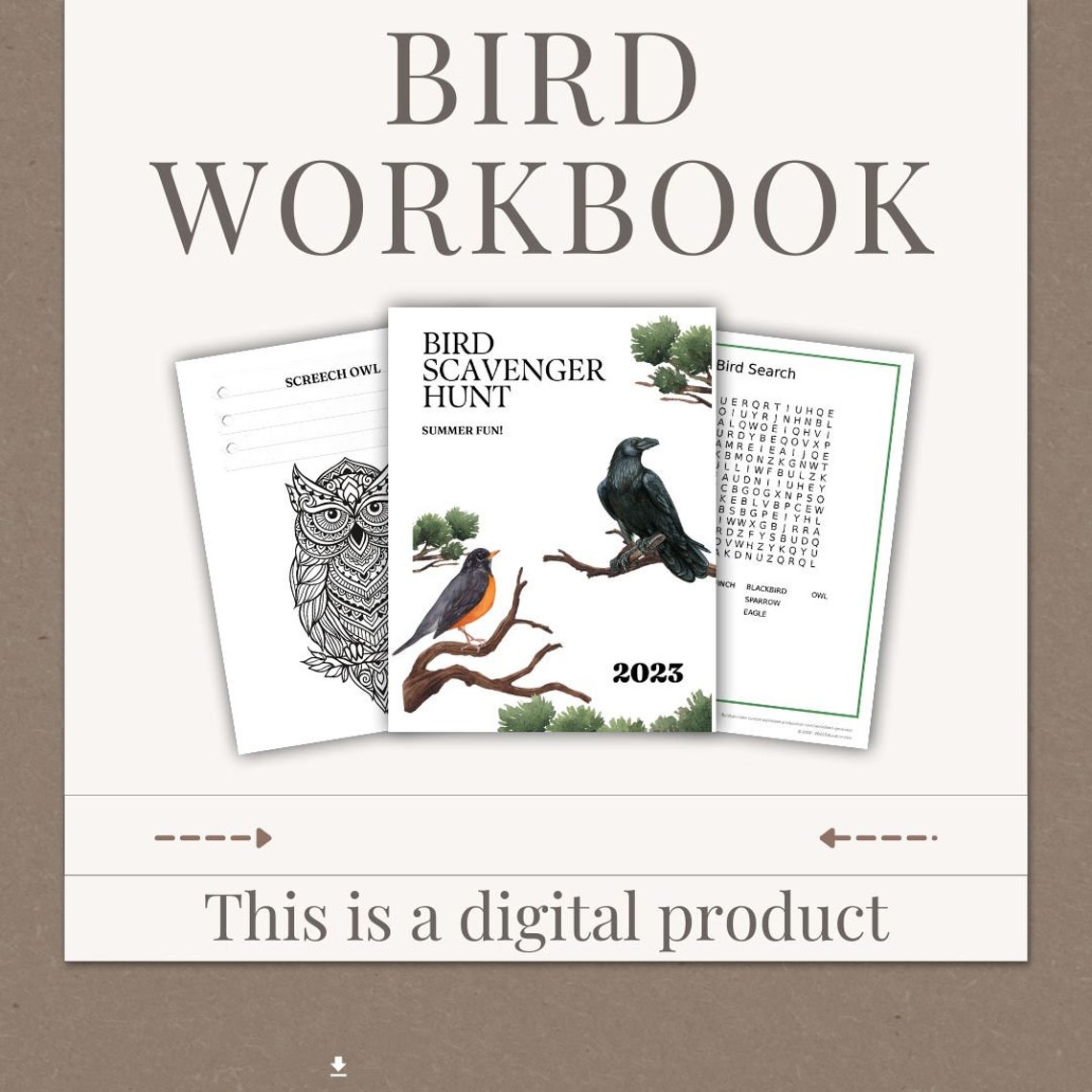 Bird Field Guide and Homeschool Workbook - Etsy