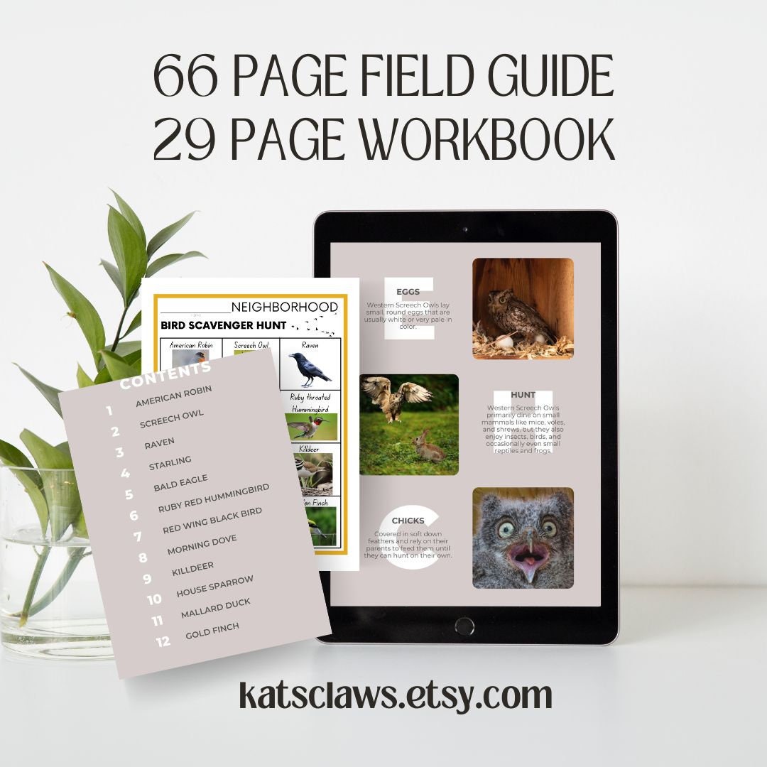 Bird Field Guide and Homeschool Workbook - Etsy
